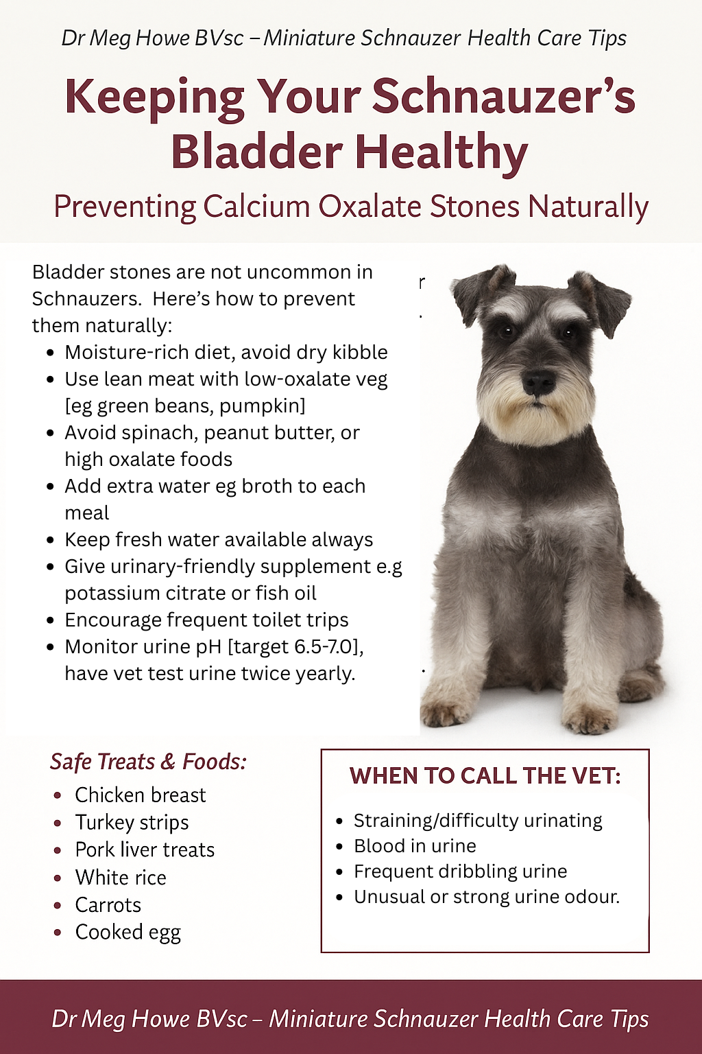 Bladder Stones in Schnauzers | Miniature Schnauzer puppies WA